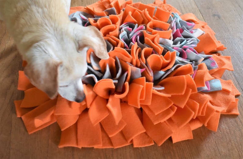 Nose-n-nibble Premium Snuffle Mat: Food Foraging Fun for Dogs - Etsy