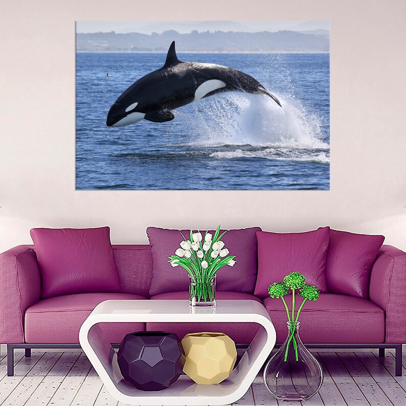 Whale Photo Sea Life Poster Killer Whale Wall Art Animal Print | Etsy