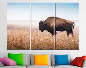 Large Buffalo Canvas - Etsy