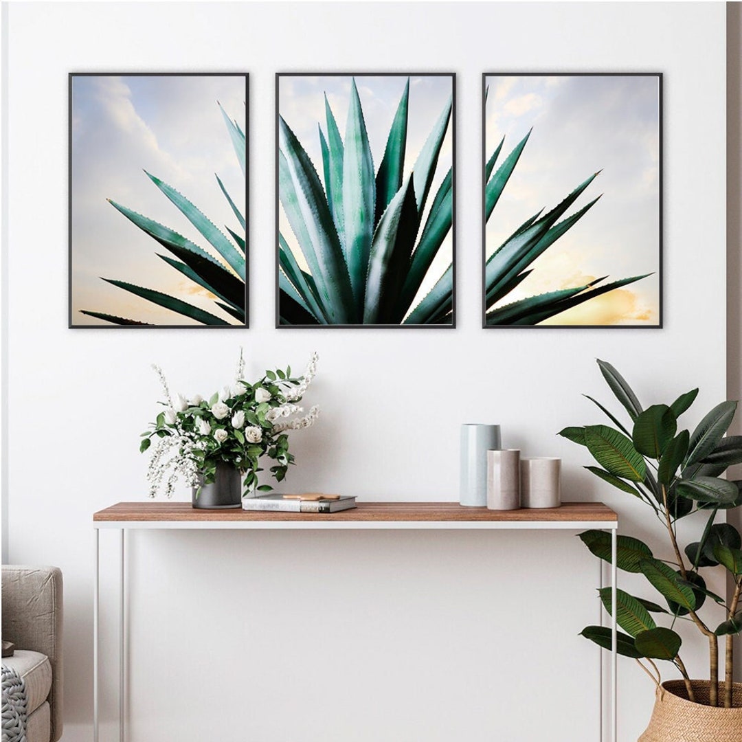 Blue Agave Wall Art Landscape Photo Outdoor Plants Download & Print ...