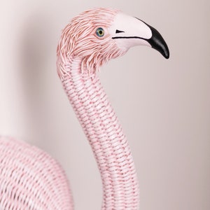 Pink Flamingo, Wicker Flamingo Head, Pink Flamingo Taxidermy Bird ...