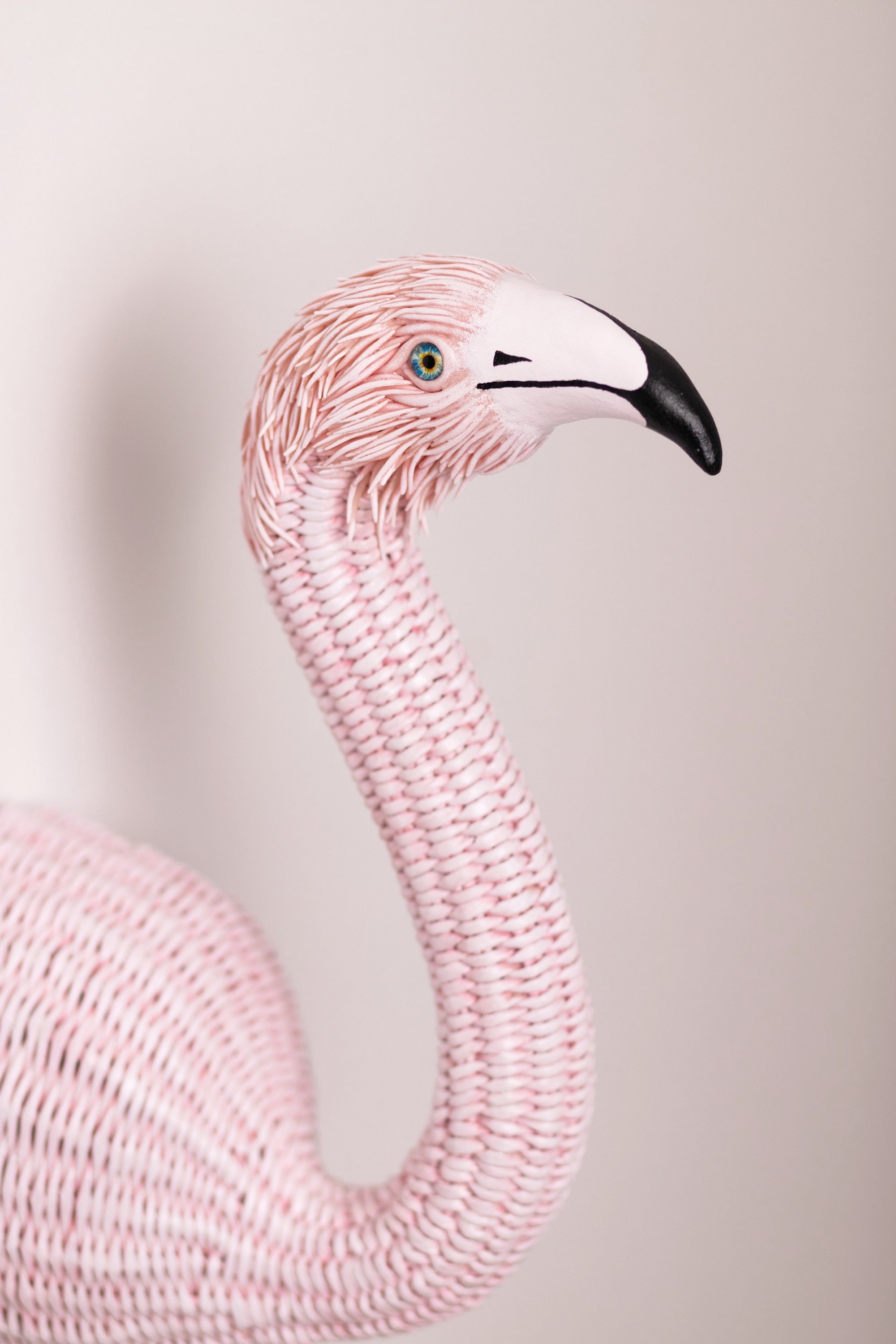 Pink Flamingo, Wicker Flamingo Head, Pink Flamingo Taxidermy Bird ...