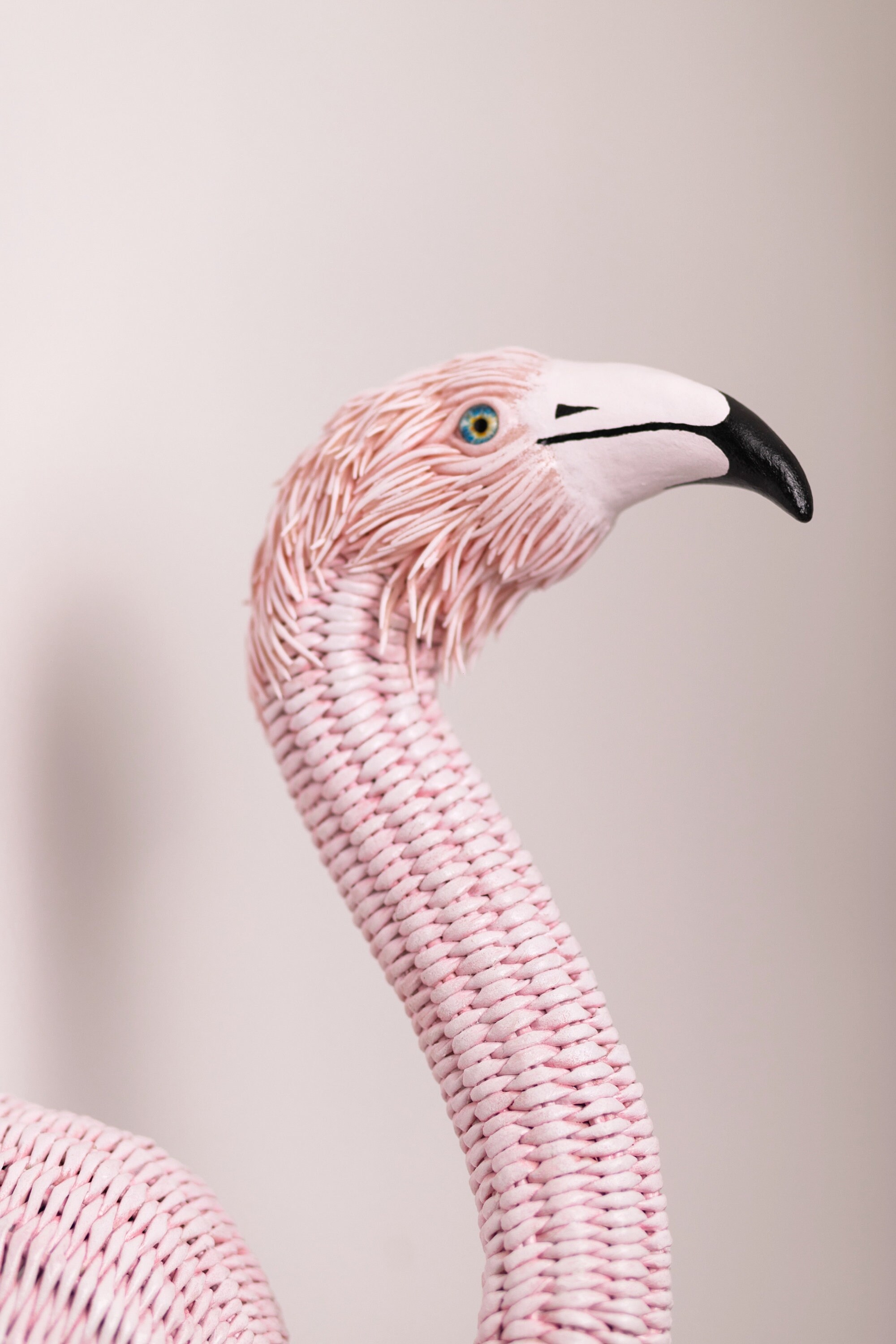 Pink Flamingo, Wicker Flamingo Head, Pink Flamingo Taxidermy Bird ...