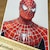 Sam Raimi's Spider-man Drawing A3 LIMITED EDITION Giclée Print Artology ...