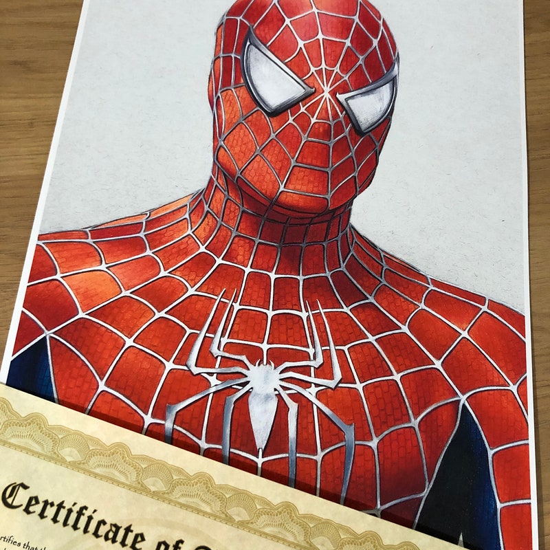 Spider Man Sam Raimi Art - Etsy UK