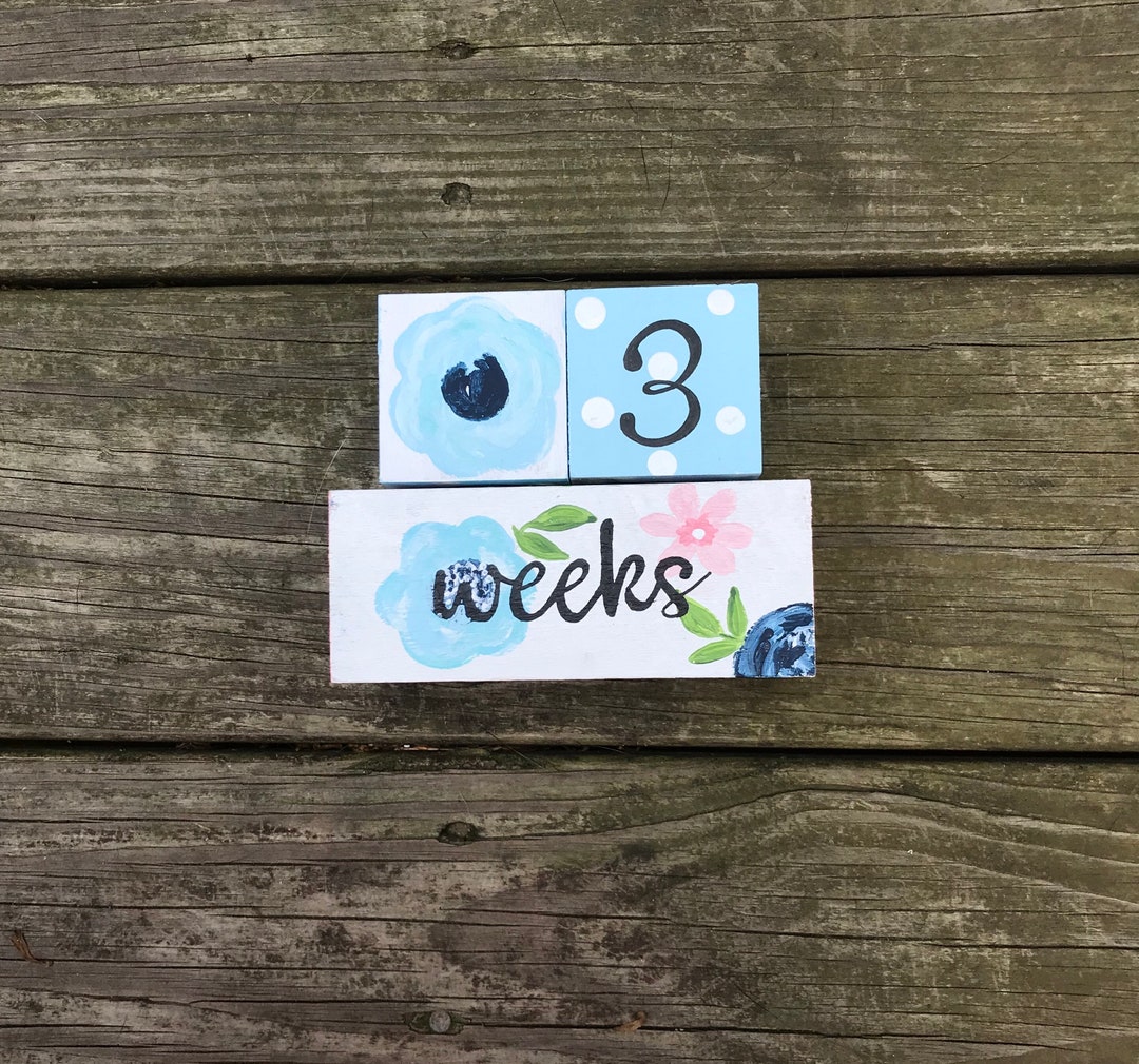 Baby Girl Age Blocks, Watercolor Floral Milestone Blocks, Navy and Pink ...