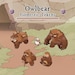 Owlbear Isometric Tokens - Digital Download, Dnd, TTRPG, VTT, Dungeons ...