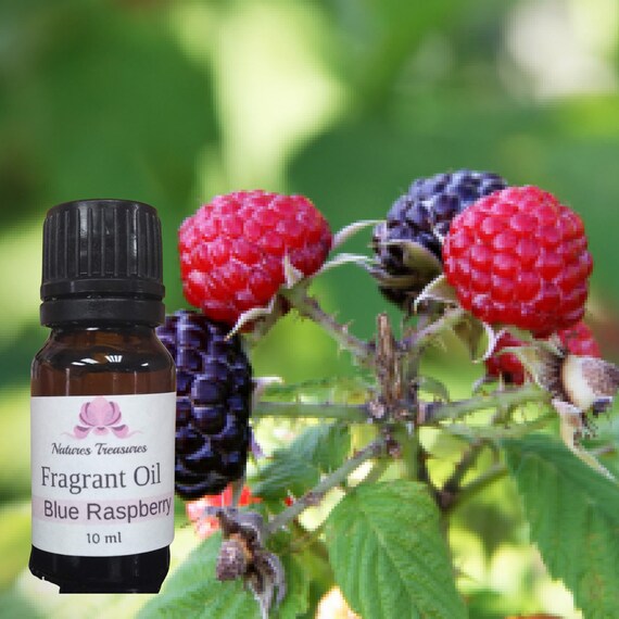 Blue Raspberry Fragrance Oil Candles Soap Skin & Hair - Etsy