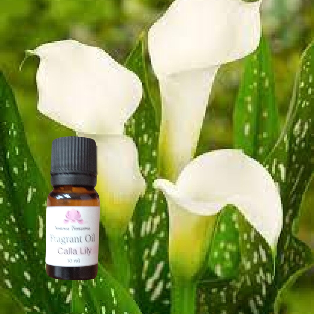 Calla Lily Fragrance Oil - Candles - Soap - Skin - Hair Care - Etsy