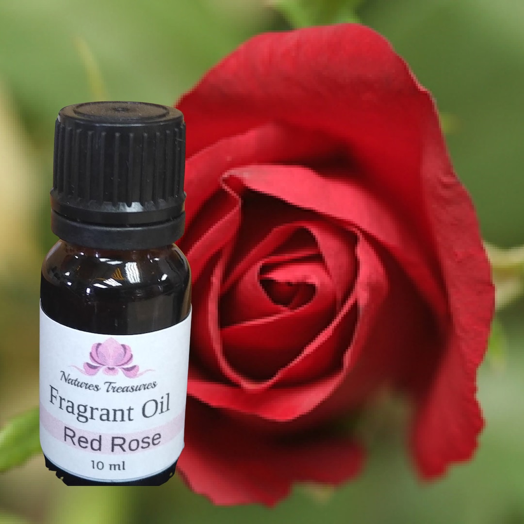 Red Rose Fragrance Oil - Candles - Soap - Skin & Hair Care - Etsy