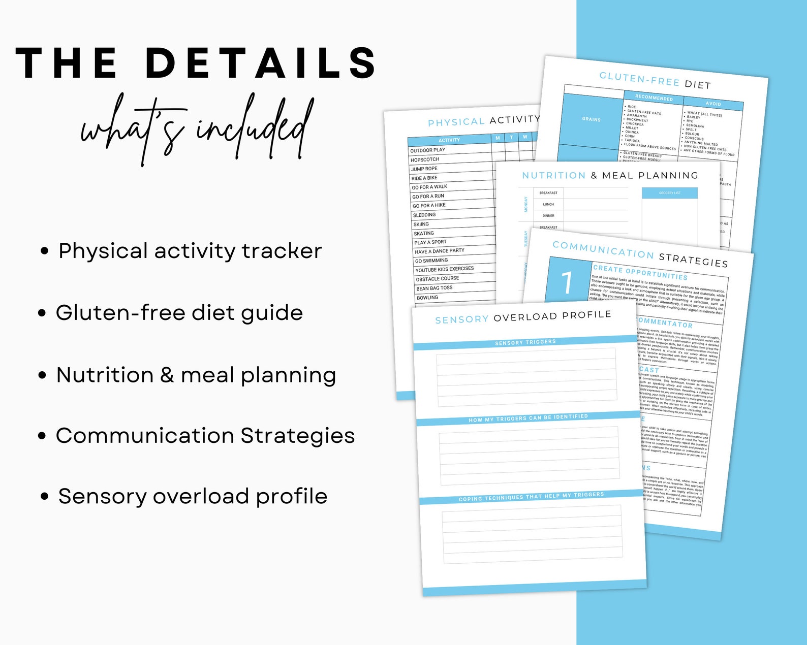 Autism Planner, Autism Planner Binder, Autism Planner Adult, Daily ...