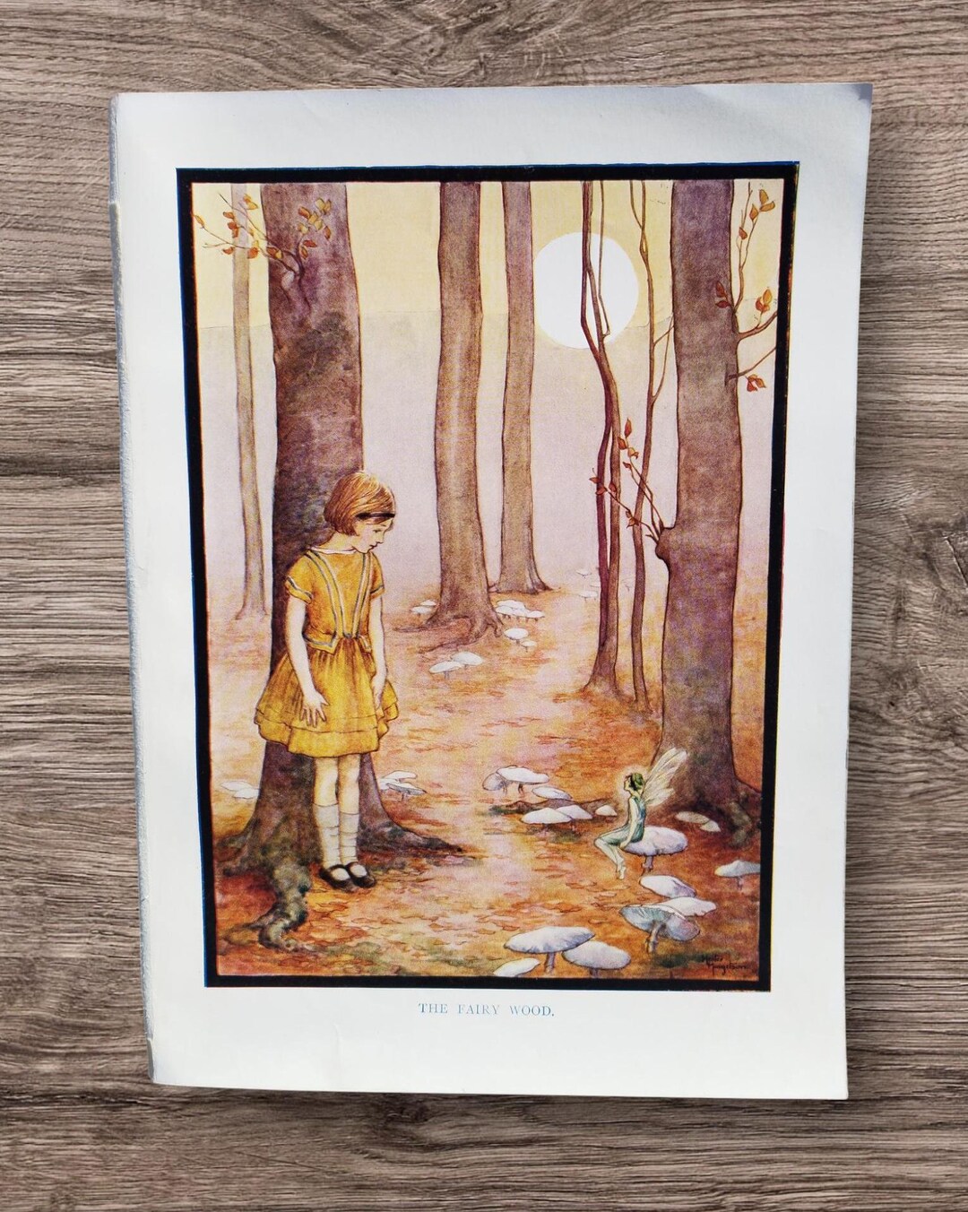 Genuine Antique 1924 the Fairy Wood Book Print Picture Lithograph by ...