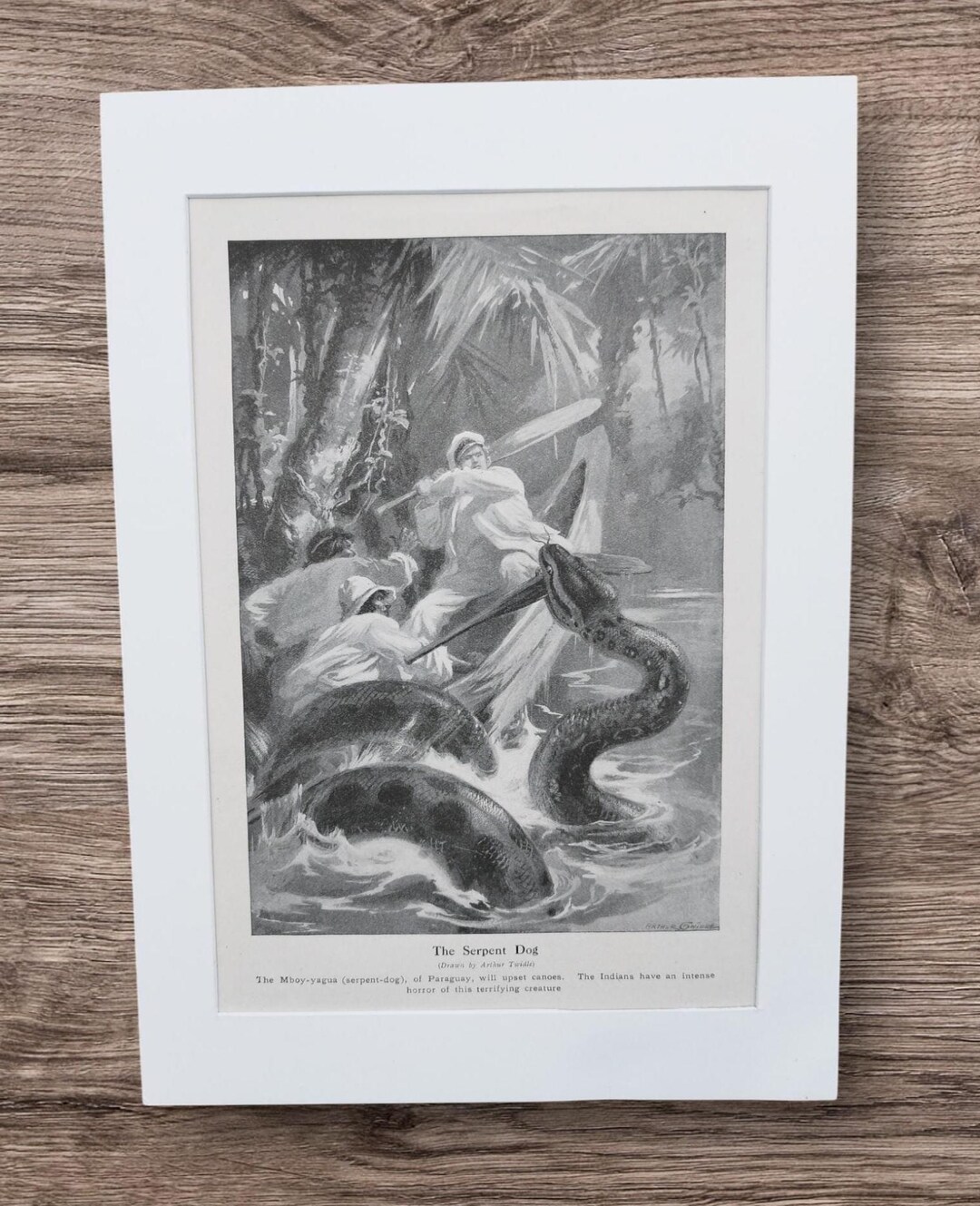 Original Antique 1915 the Serpent Dog of Paraguay Jungle Book Print ...