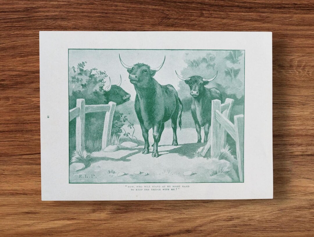 Antique 1910 Cows With Horns Book Art Print Picture Lithograph Children ...