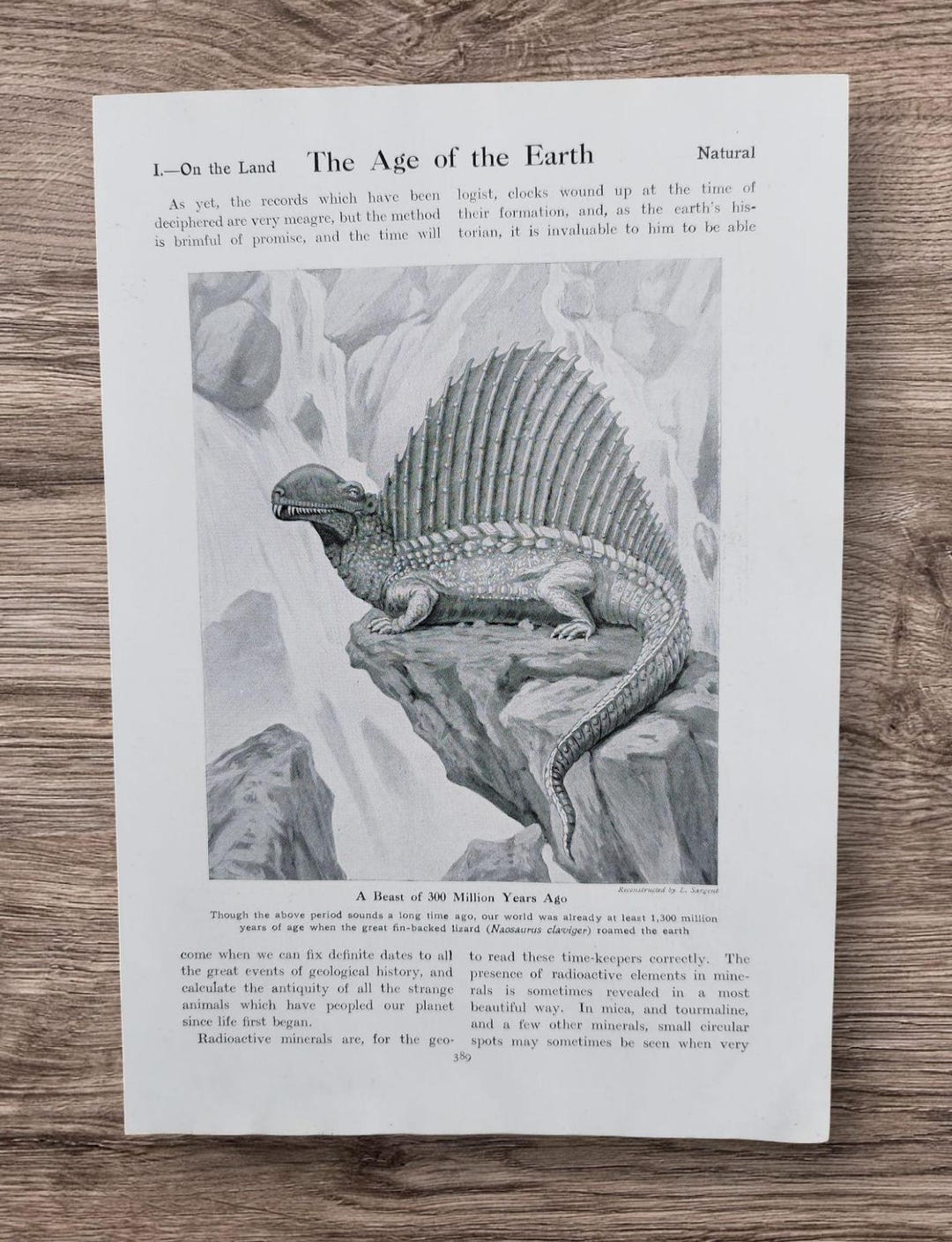 Genuine Antique 1915 Dimetrodon Predatory Carnivore Dinosaur Book Print ...