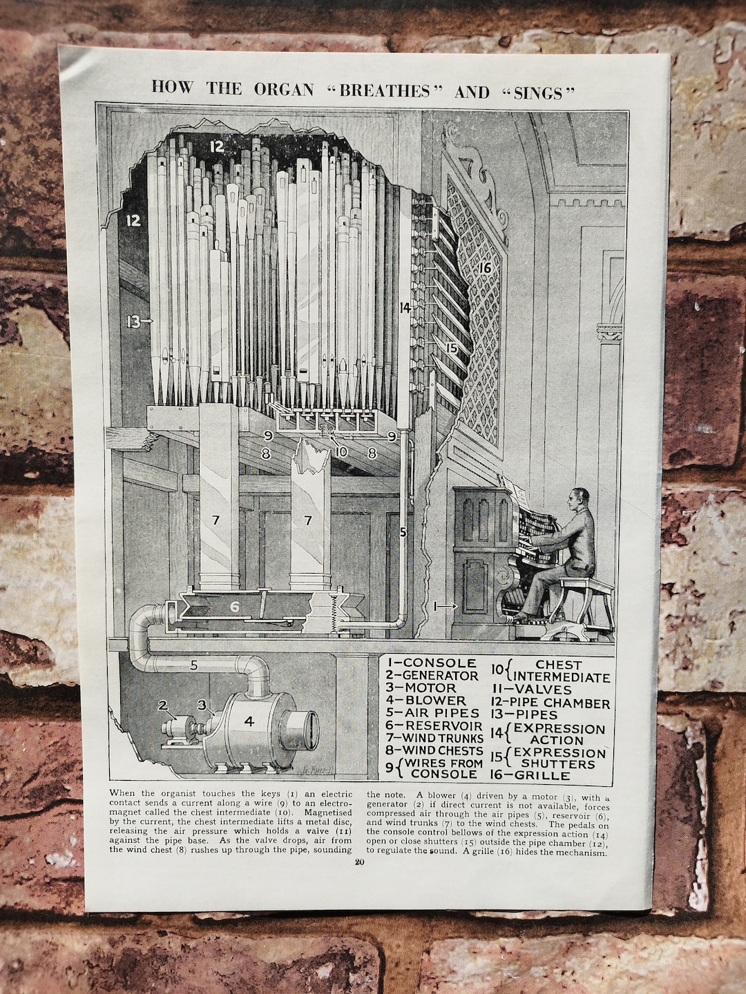 How the Pipe Organ Breathes and Sings Keys Works Vintage 1950s Book ...