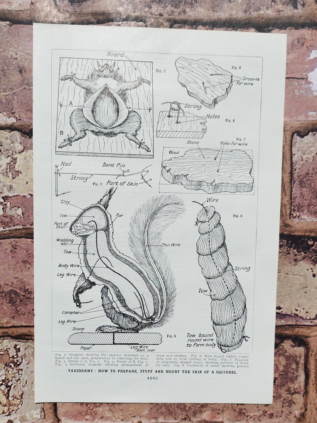 This item is unavailable - Etsy