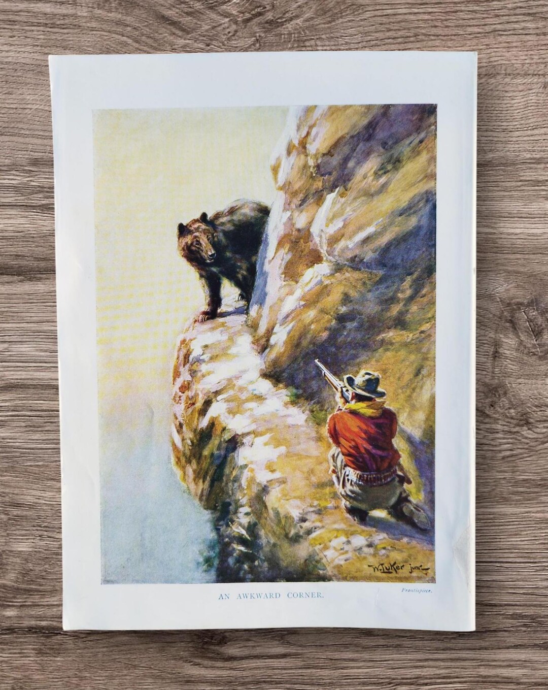 Antique 1920s American Hunter Shooting a Common Brown Bear on a ...