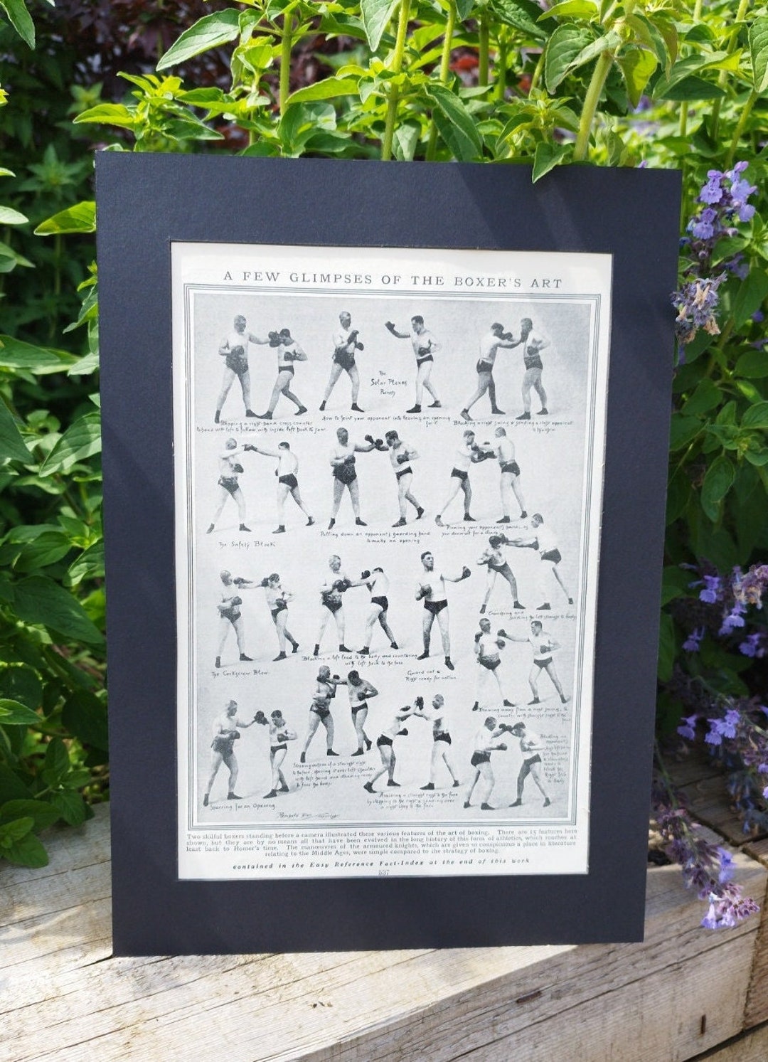 Original Vintage 1930s the Art of Boxing Book Print Picture , Boxers ...