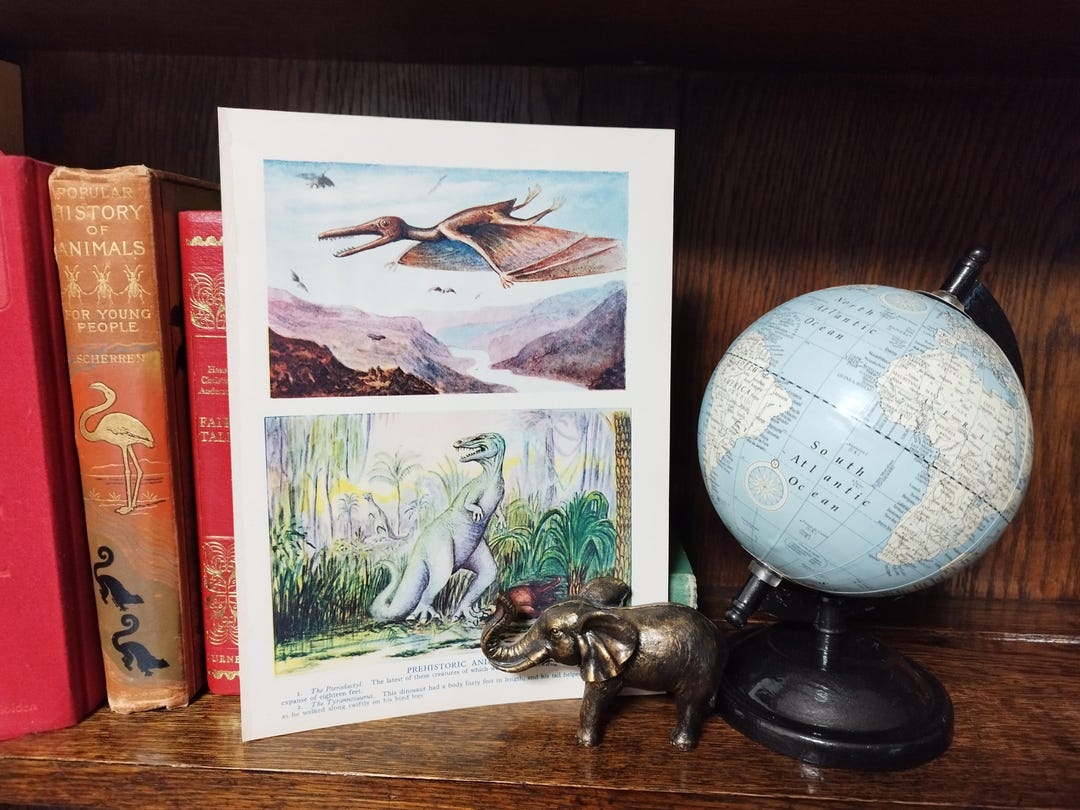 Vintage Dinosaur Book Print: 1950s Pterodactyl & Tyrannosaurus Wall Art ...