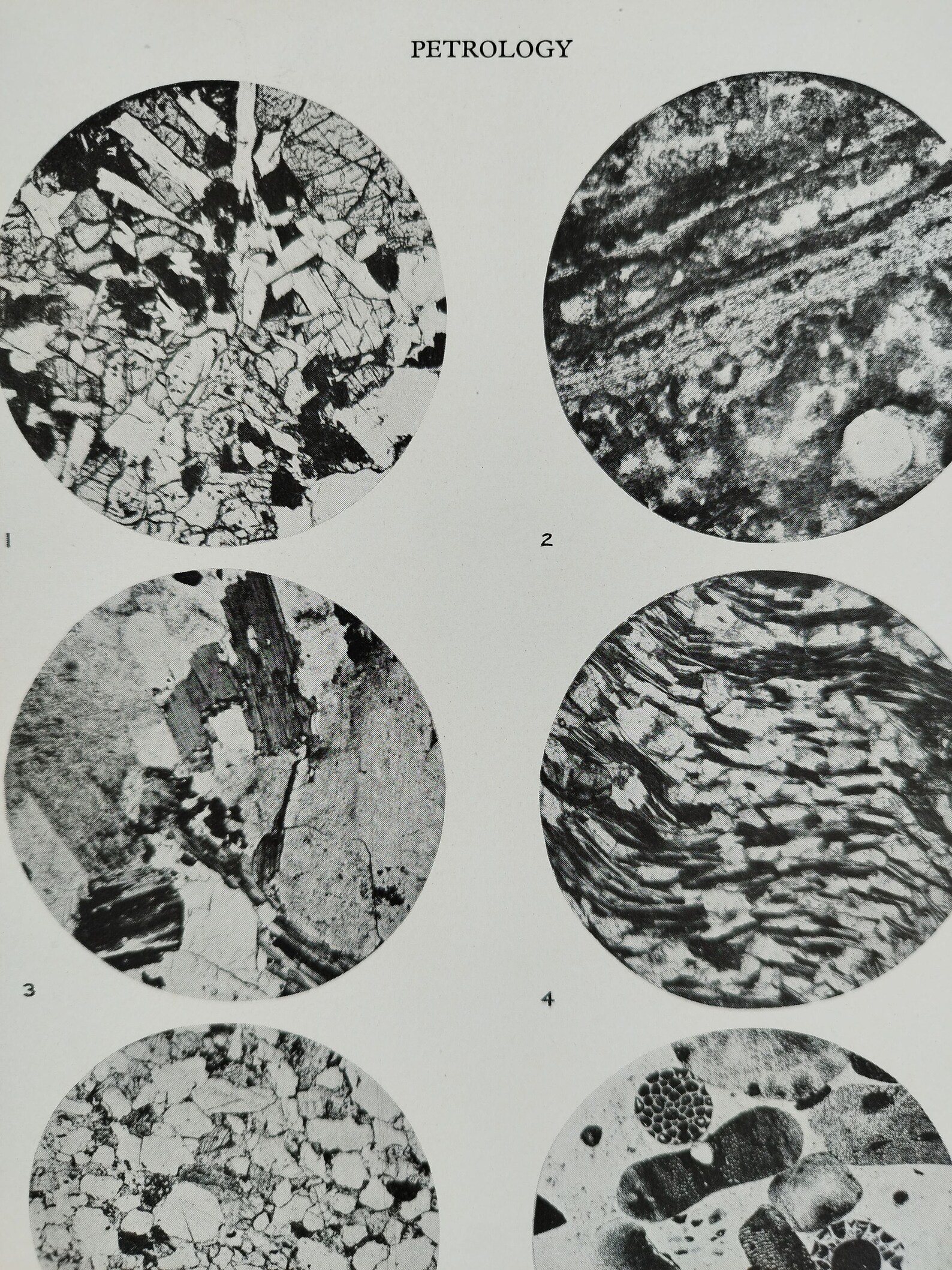 Original 1950s Petrology Microscopic Rock Structure Book Print Picture ...