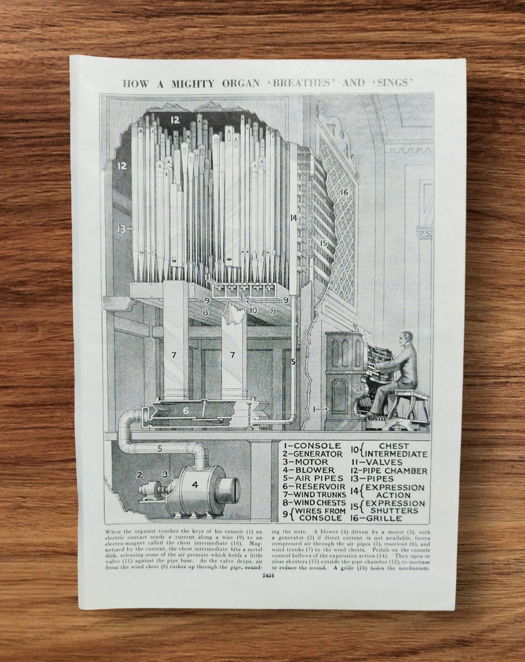 Genuine Vintage 1950s Pipe Organ Diagram Book Print Picture Lithograph ...