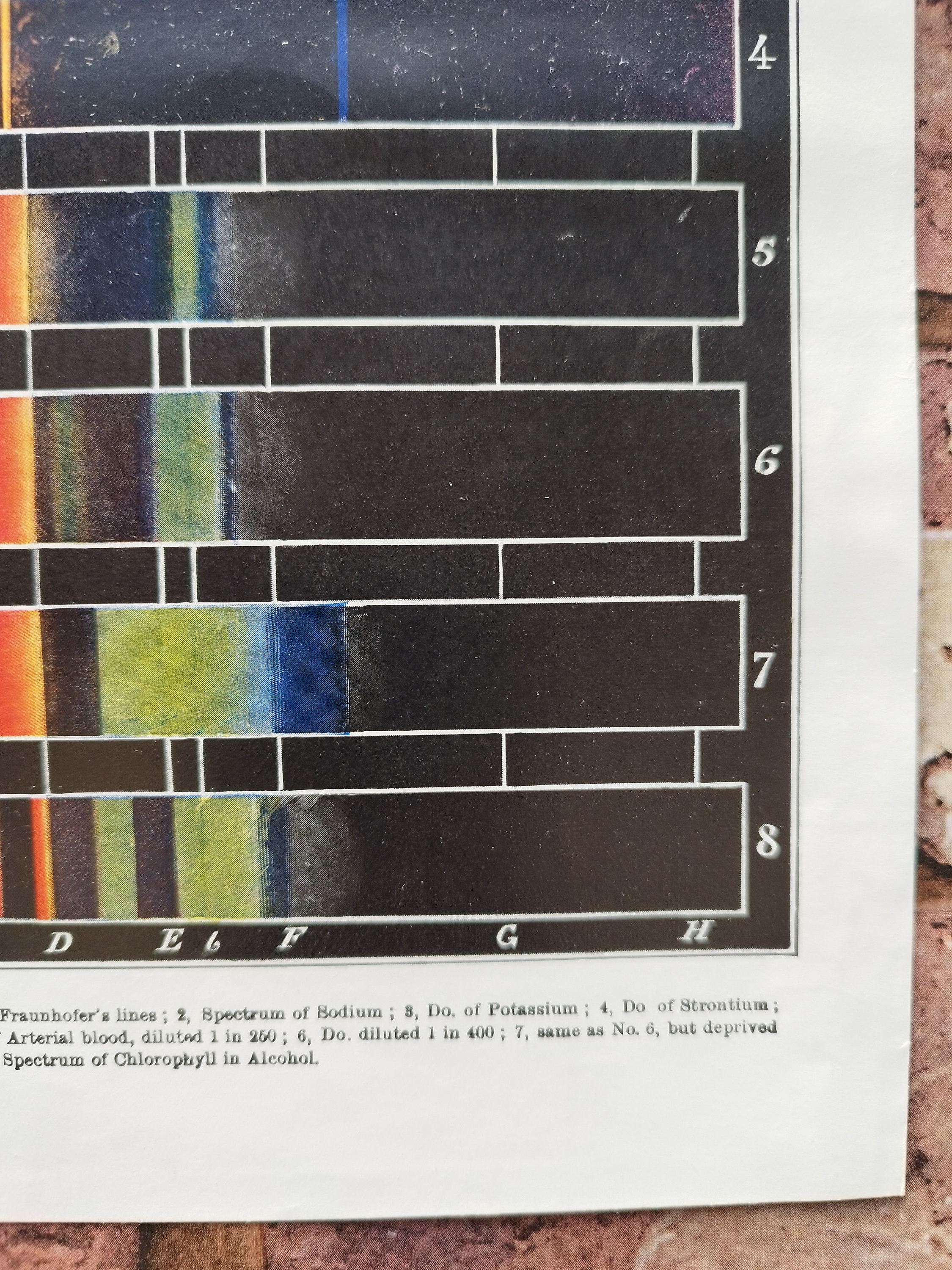 Antique 1930s Spectroscopy Lithograph Book Print the Study - Etsy