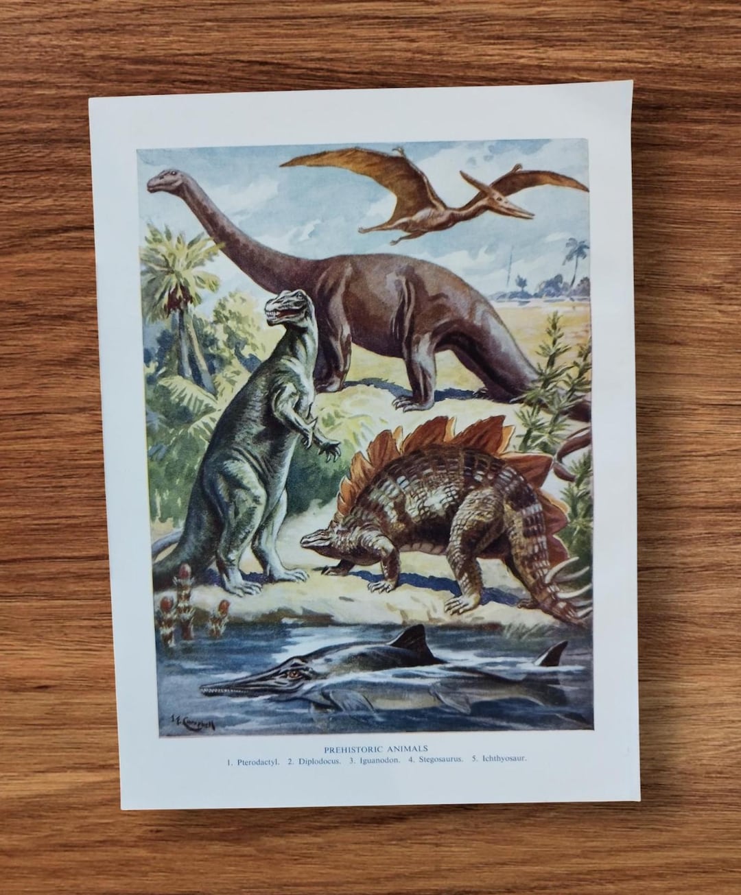 Original Vintage 1950s Age of the Dinosaur Prehistoric Animals Book ...