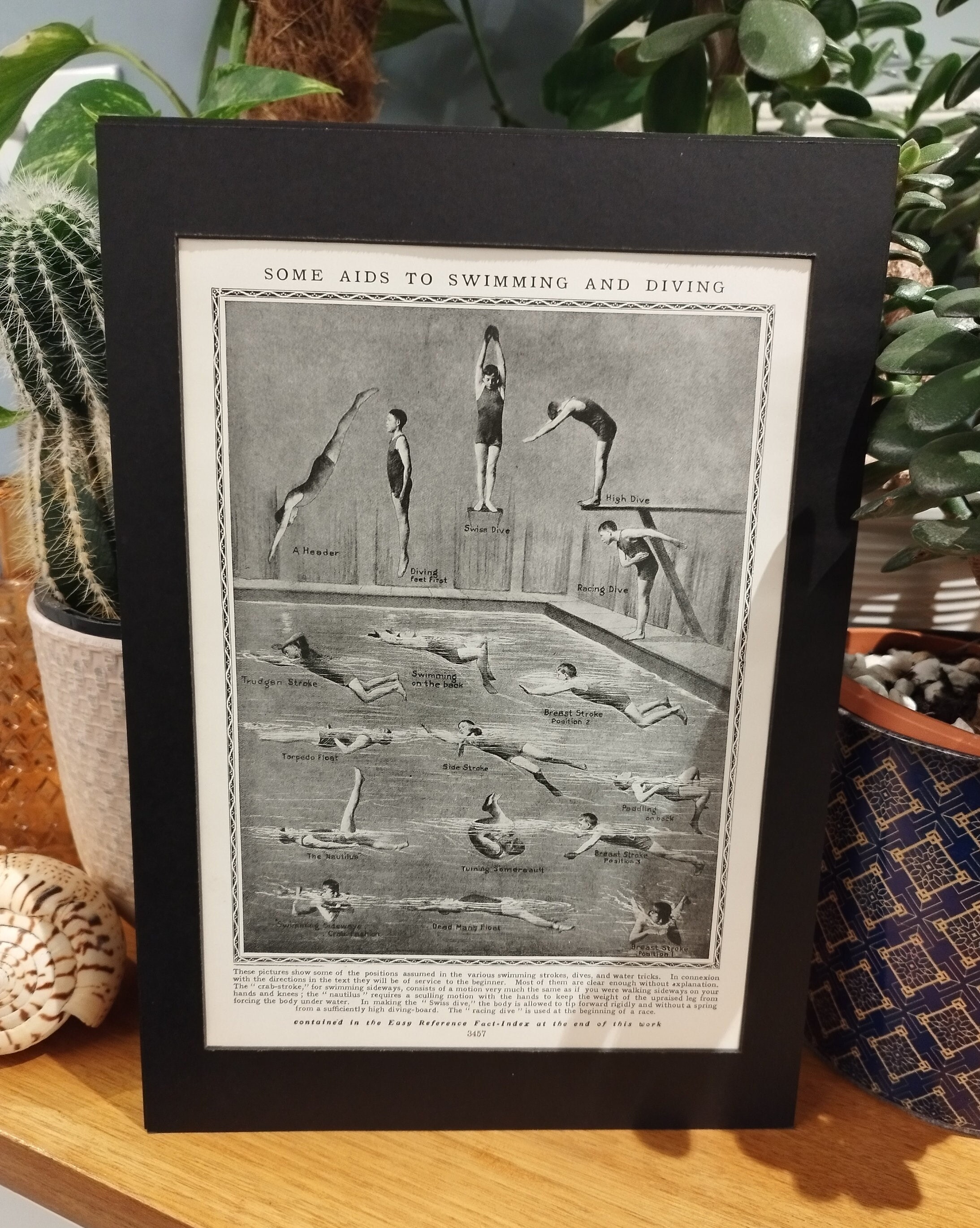 Vintage 1940s How to Swim Dive Sport Book Print Picture in A4 Black Mount , Swimming and Diving ...