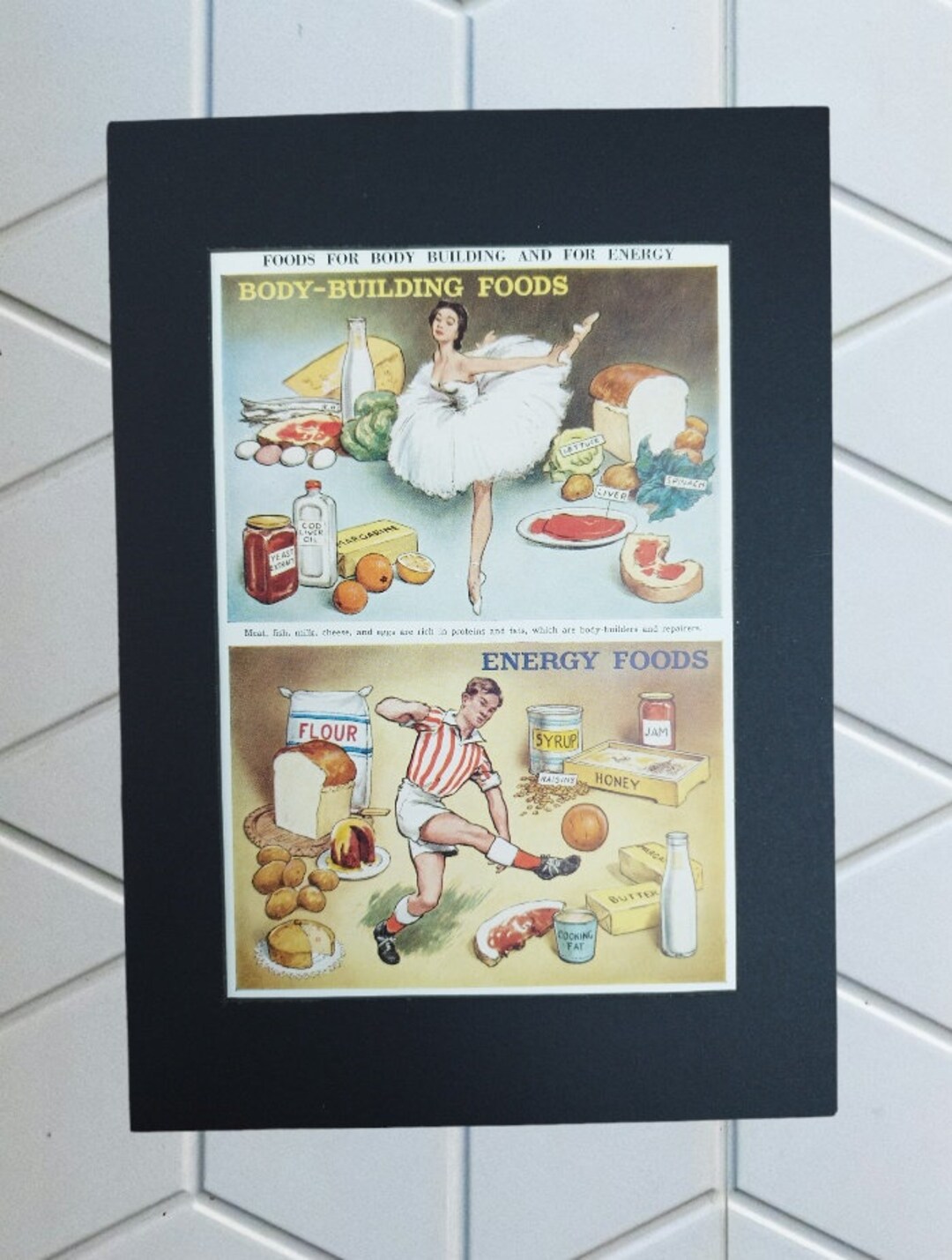 Vintage 1950s Food Groups Body Building and Energy Foods Science Book ...