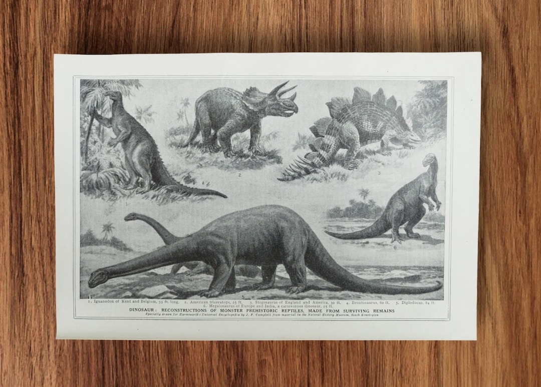 Vintage 1920s Dinosaur Lithograph Print Prehistoric Animals Reptiles Book Page Illustration ...