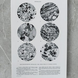 Original 1950s Petrology Rock Structure Photomicrographs Book Print ...