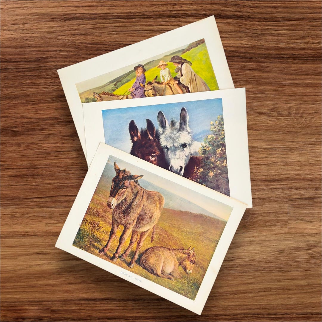 Set of Genuine Antique Donkey Animals Book Print Picture Illustrations ...