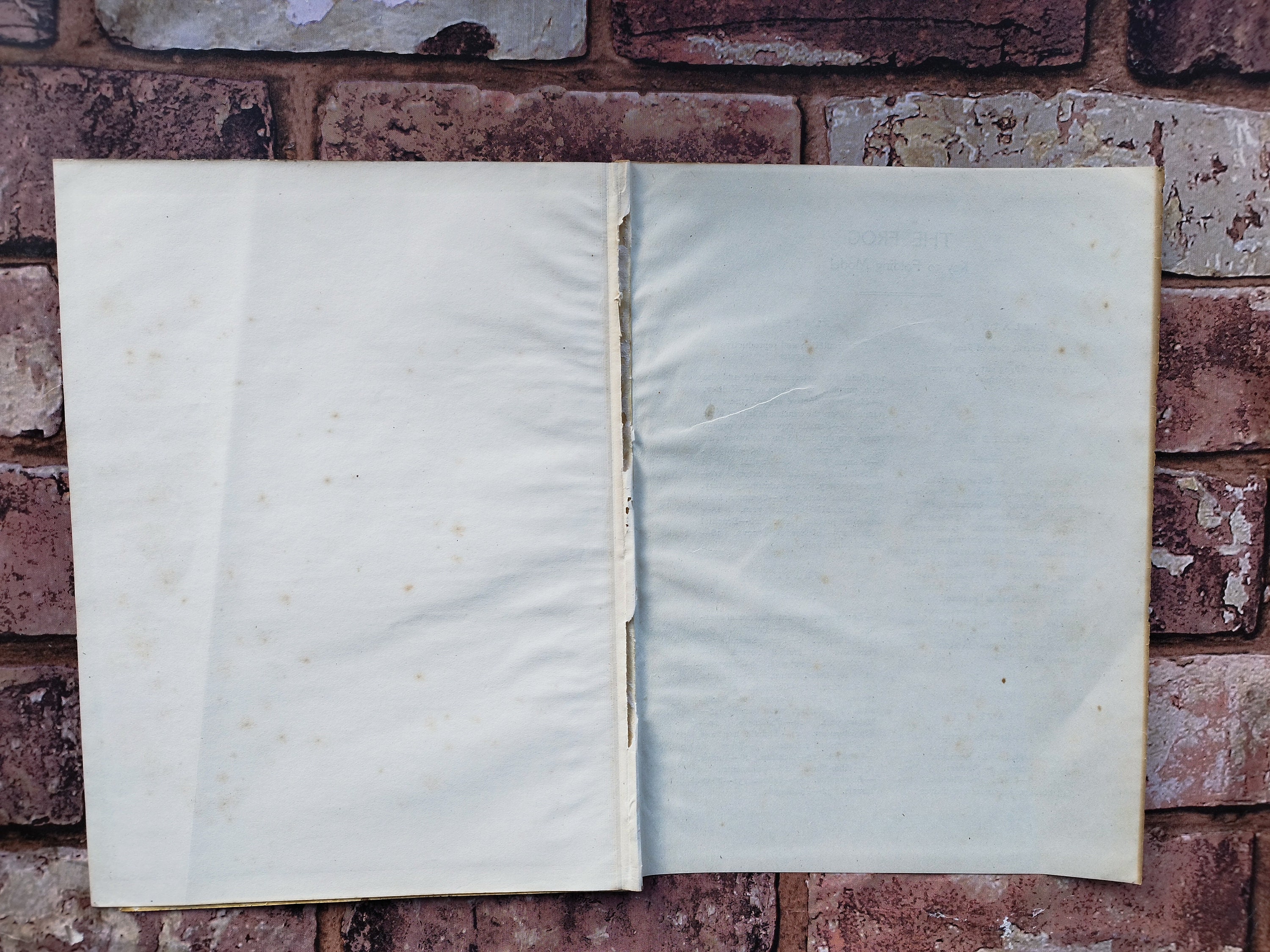 Genuine Vintage 1930s Old School Frog Dissection Sections Bookplate ...