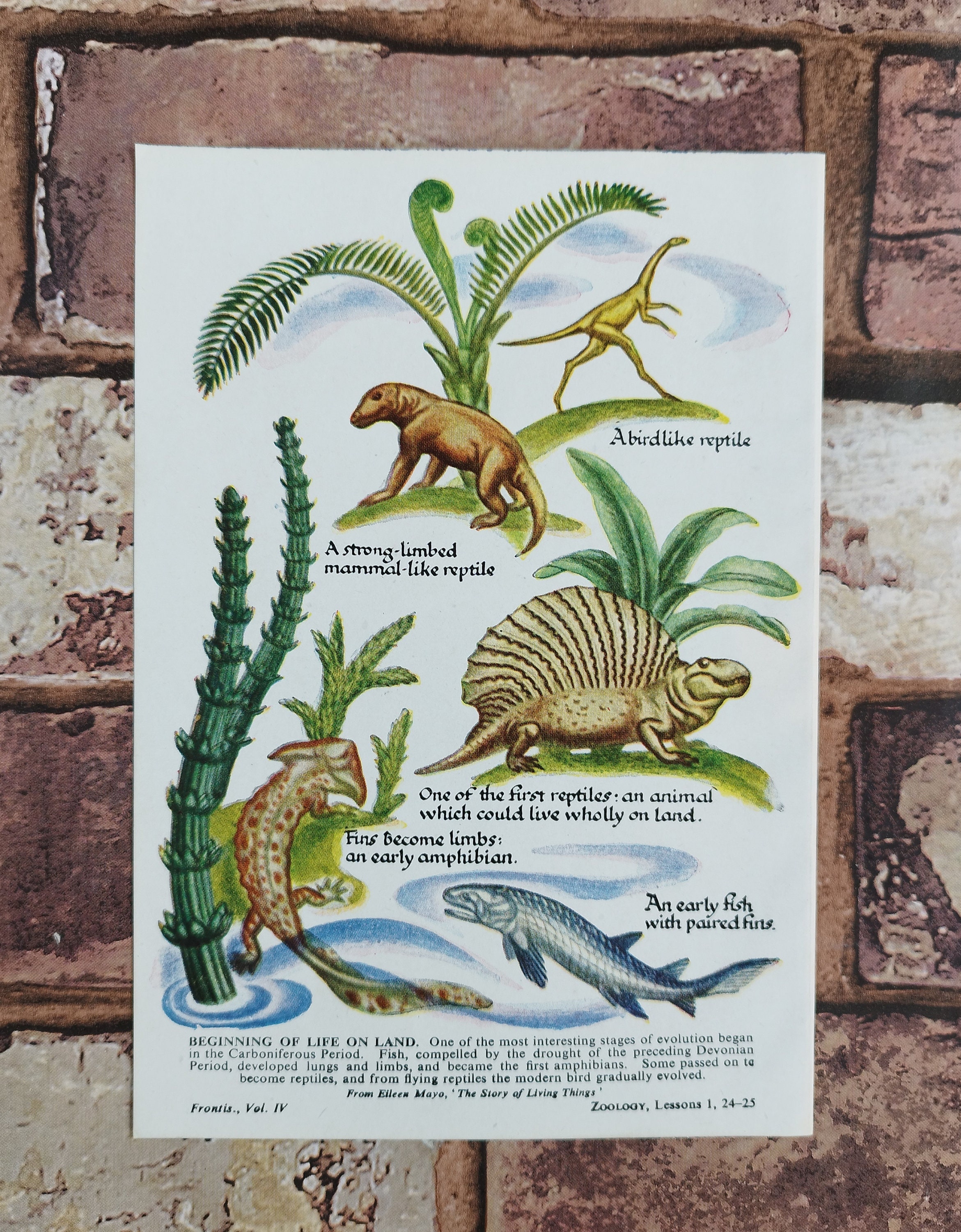 Devonian Period Reptiles