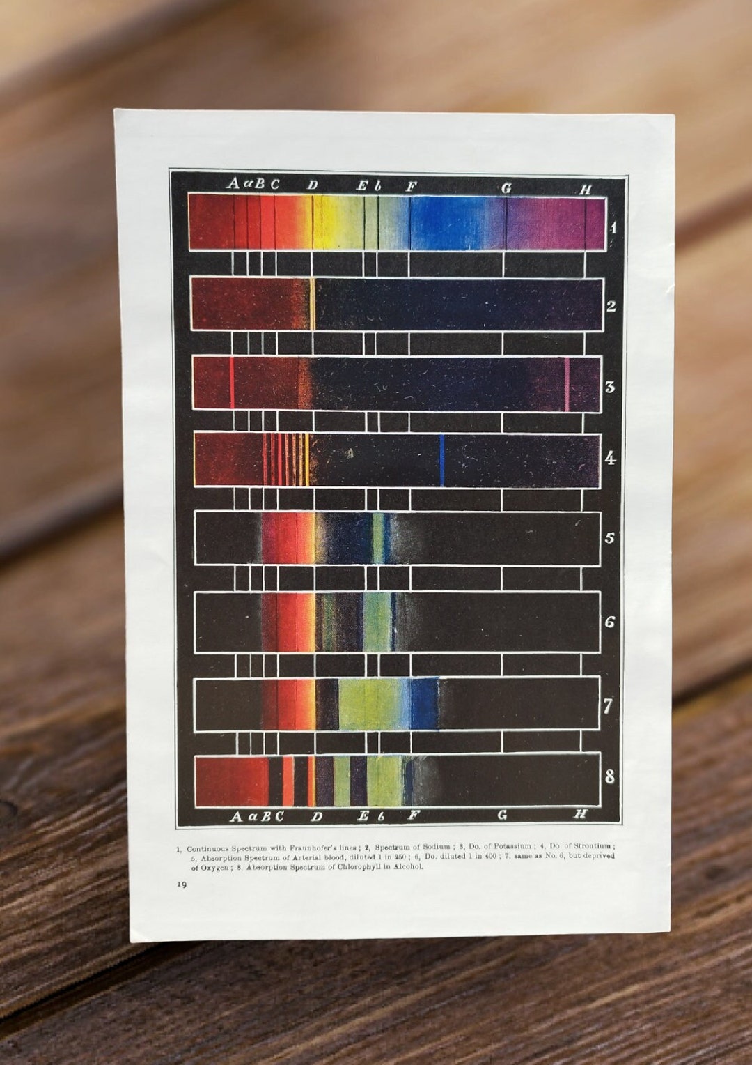Antique 1930s Spectroscopy Lithograph Book Print the Study - Etsy