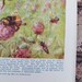 Original Vintage Maude Scrivener 1950s Book Plate Illustration , the ...