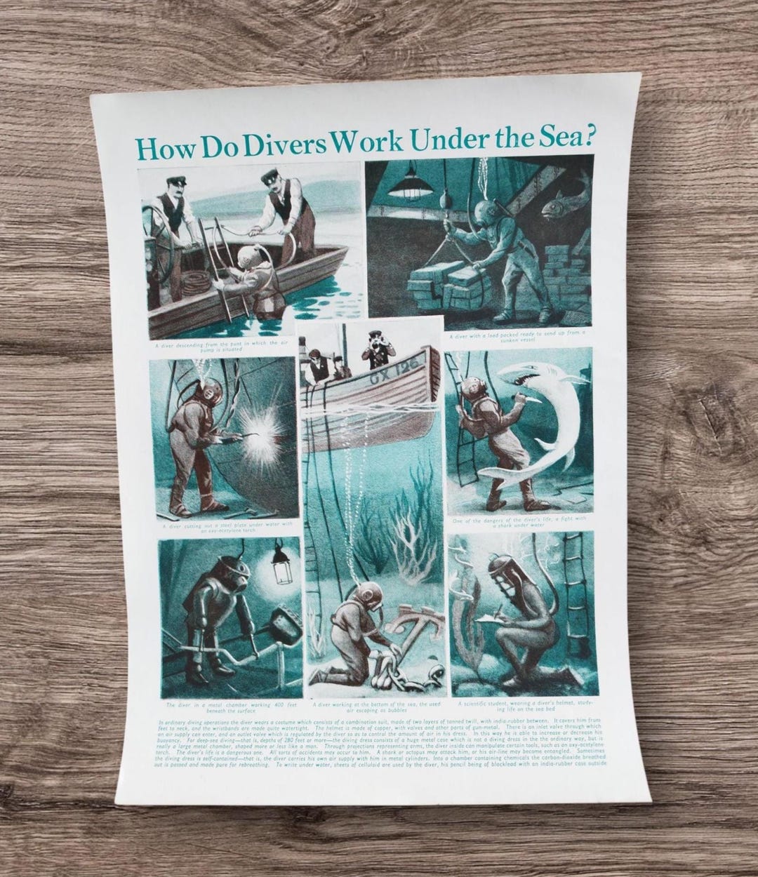 Vintage 1930s Diving Book Lithograph: Deep Sea Divers Wall Art - Etsy