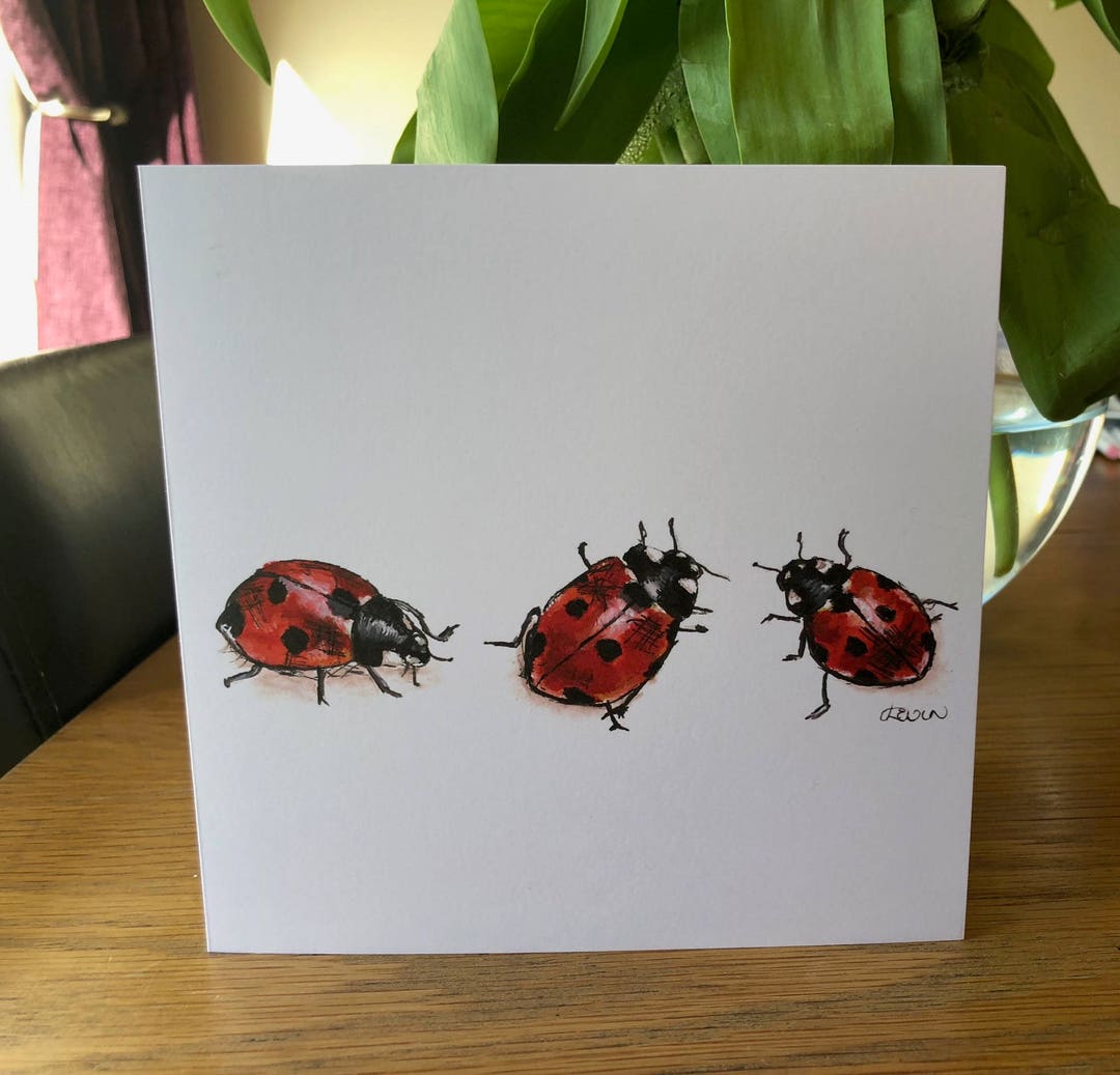 Ladybird Card - Etsy