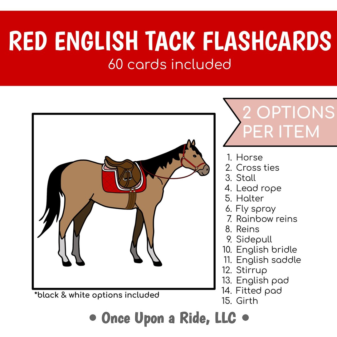 RED English Tack Flashcards - Etsy