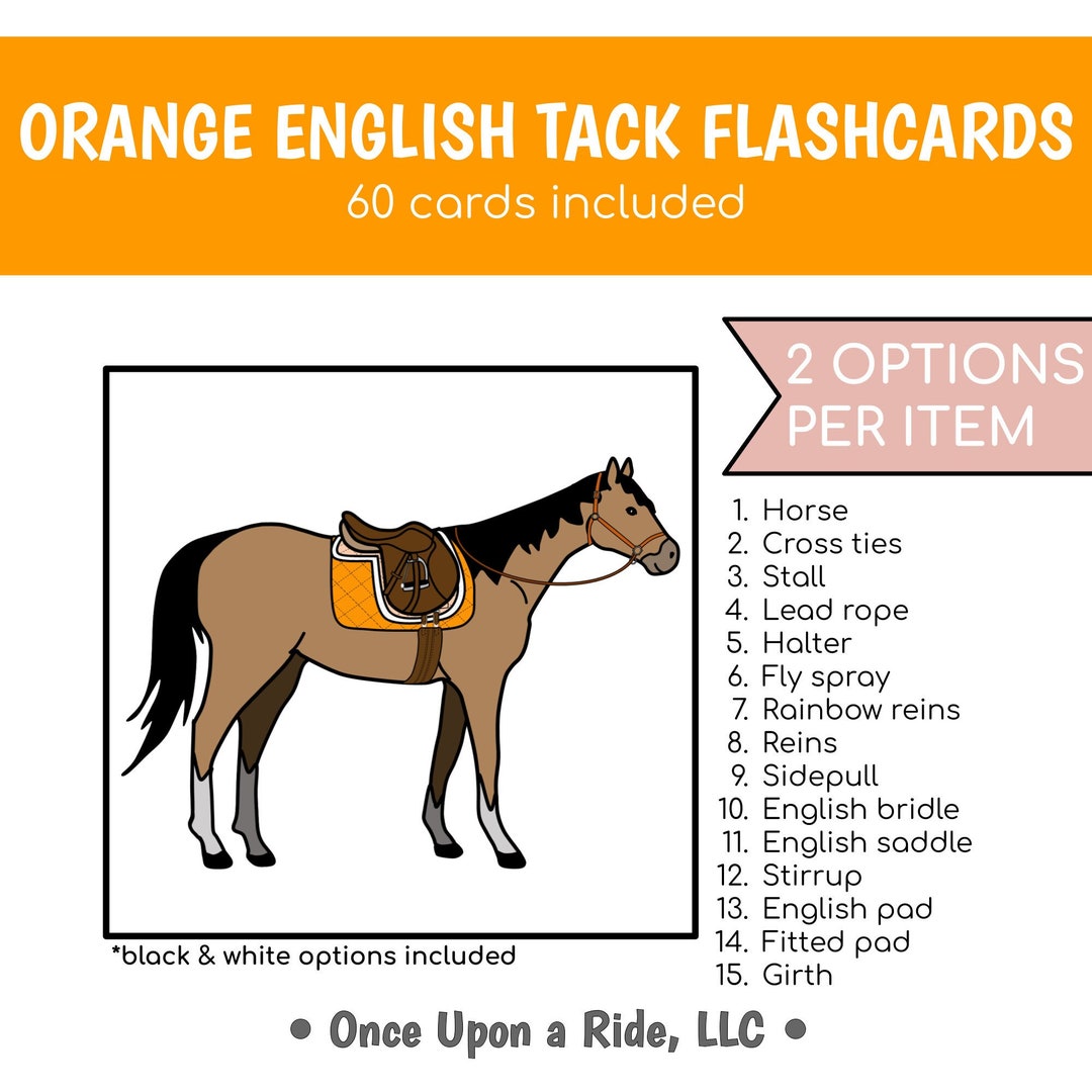 ORANGE English Tack Flashcards - Etsy