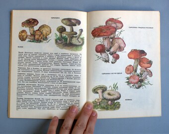 Mushroom Identification Book | Etsy