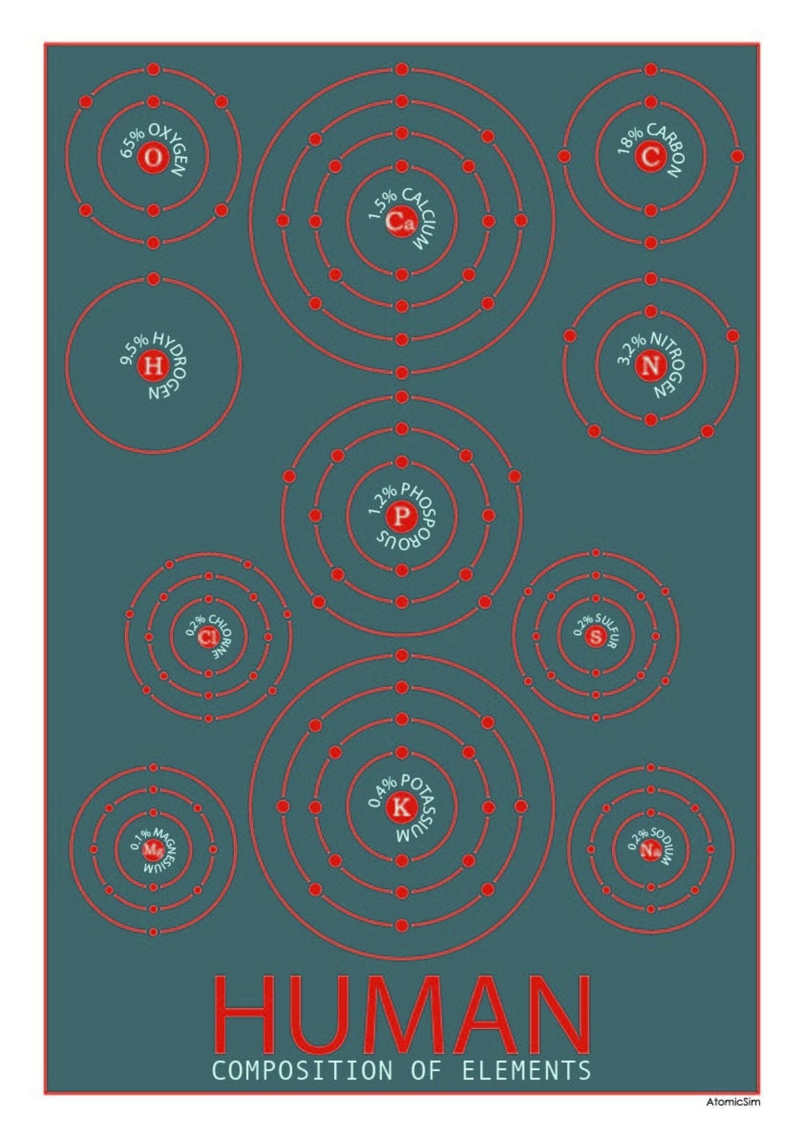 Human Composition of Elements A3 Downloadable Colour Print - Etsy