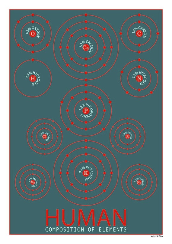 Human Composition of Elements A3 Downloadable Colour Print - Etsy