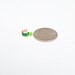 Shrimp Sushi Turtle, Miniature Handmade Polymer Clay Figurine - Etsy