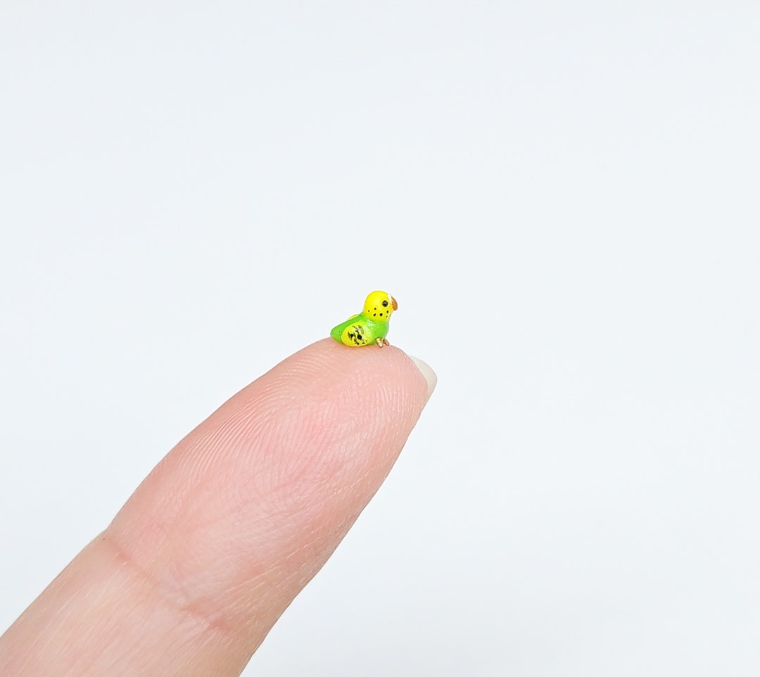 Green and Yellow Parakeet, Budgie Handmade Polymer Clay Miniature ...