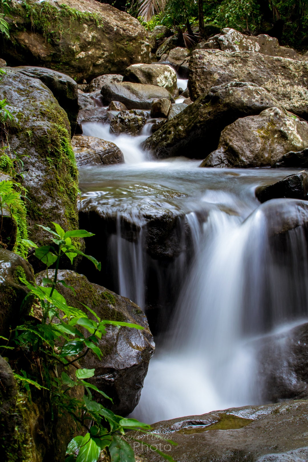 Yunque Rainforest Waterfall Photo Print - Etsy