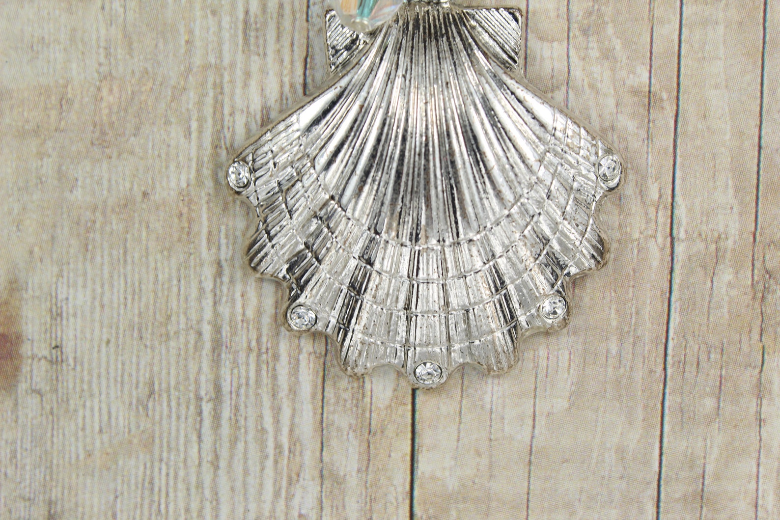 Scallop Shell Necklace, Silver Shell Pendant, Marine Biology Gift - Etsy