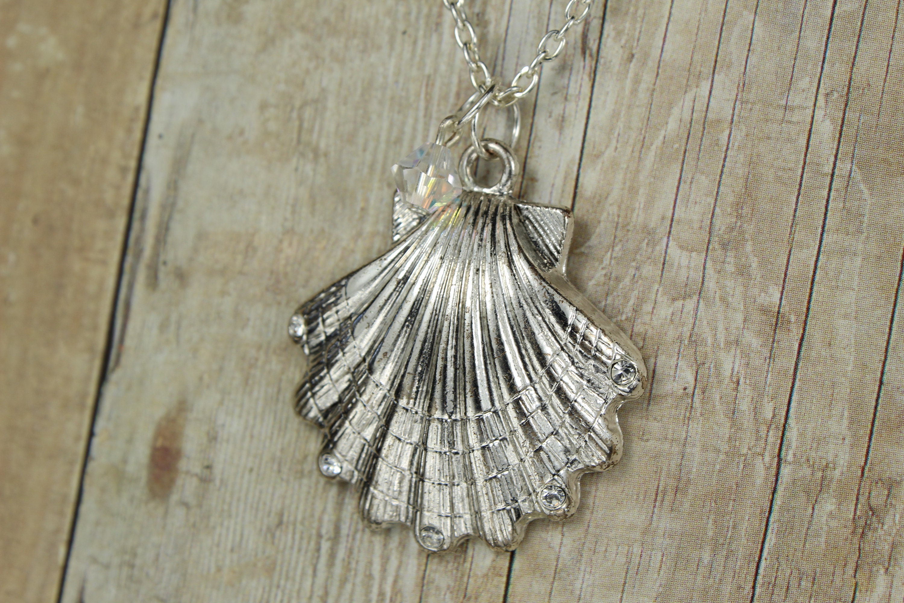 Scallop Shell Necklace, Silver Shell Pendant, Marine Biology Gift - Etsy