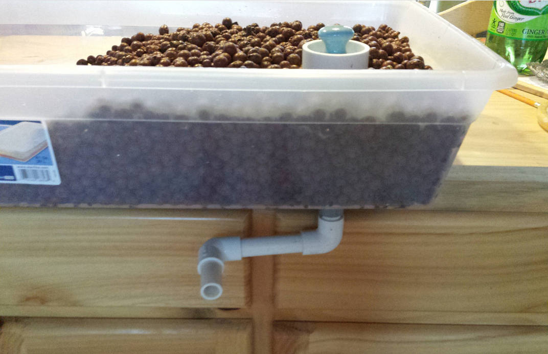 Aquaponics Bell Siphon Kit 6" MEDIA Mini Garden Dutch Bucket 20,000 ...